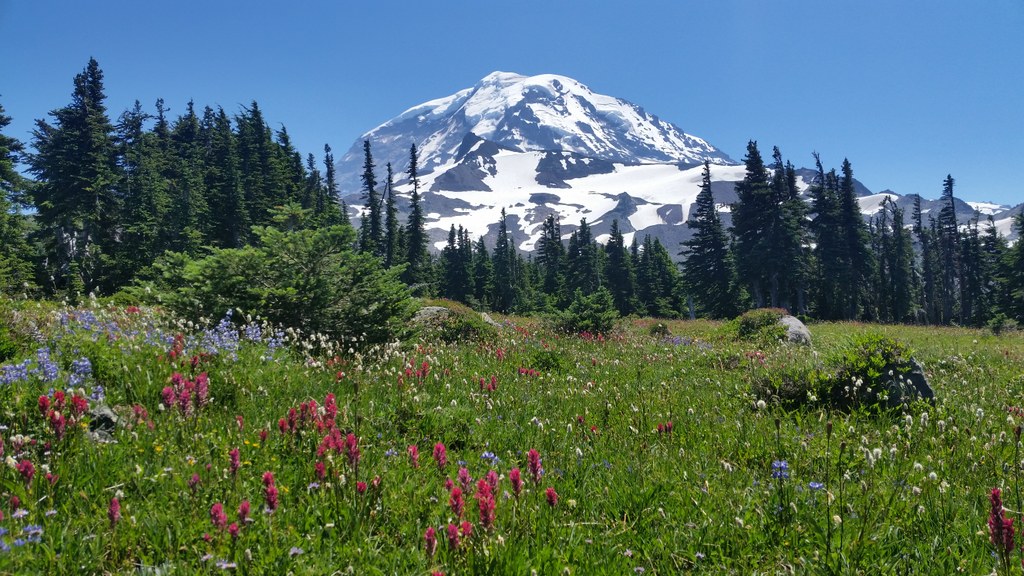 Spray Park Loop Washington Trails Association spray-park-loop-washington-trails-association